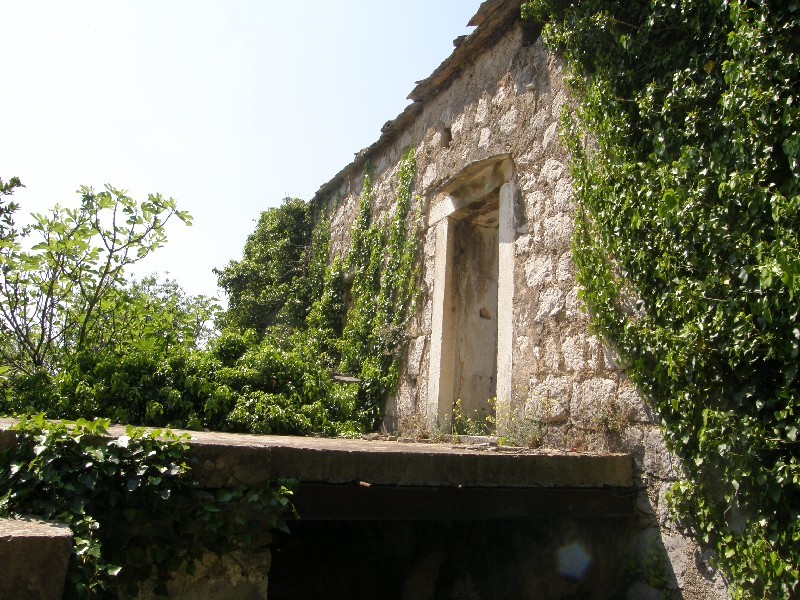 STONE HOUSE IN PODGORA – Navis Real Estate Agency Makarska